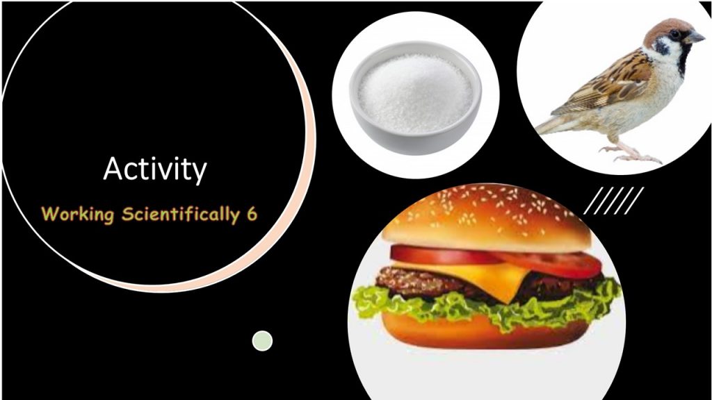 Science - Working Scientifically for KS2/ upper Elementary